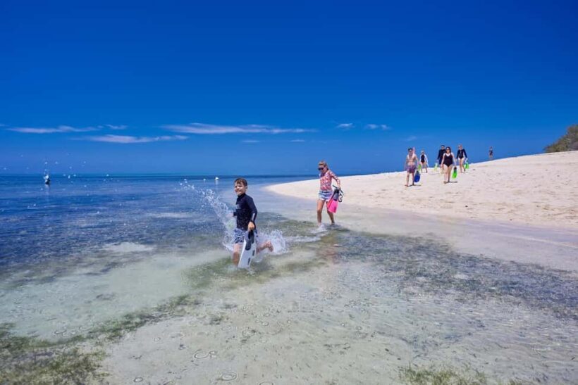 From Cairns: Full-Day Green Island Cruise - The Sum Up