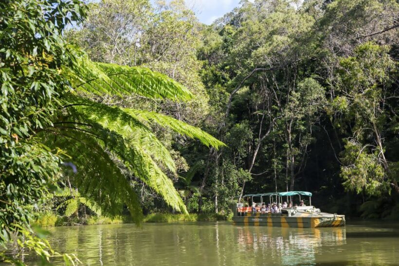 From Cairns: Full-Day Kuranda Army Duck Experience Tour - What’s Included & Practical Considerations