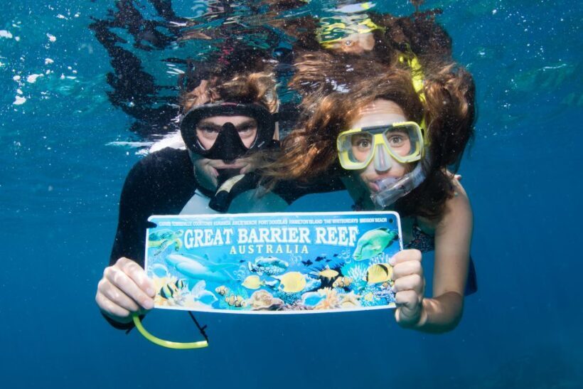 From Cairns: Great Barrier Reef Cruise by Premium Catamaran - Key Points