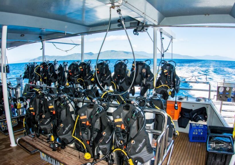 From Cairns: Great Barrier Reef Cruise by Premium Catamaran - FAQ