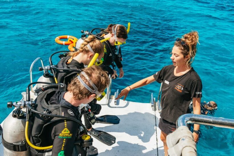 From Cairns: Great Barrier Reef Cruise by Premium Catamaran - Final Thoughts