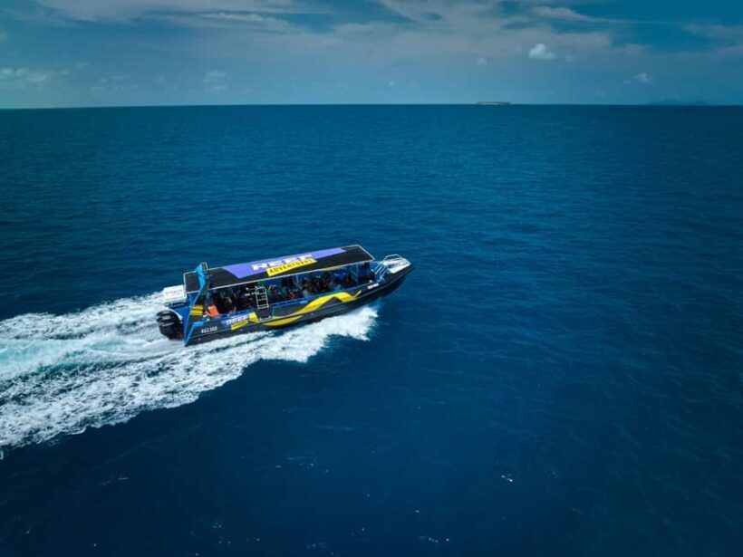 From Cairns: Great Barrier Reef Half-Day Snorkeling Tour - Why This Tour Works Well