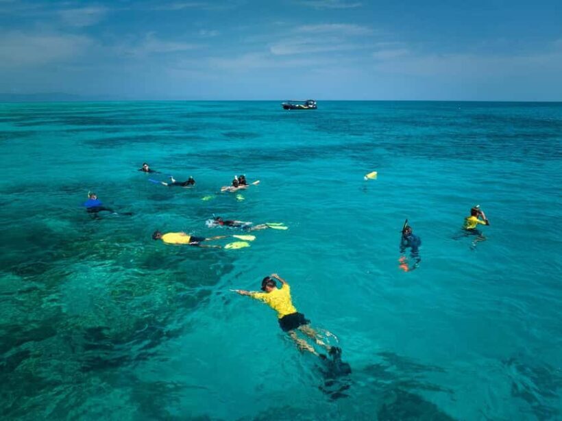 From Cairns: Great Barrier Reef Half-Day Snorkeling Tour - Who Should Consider This Tour?