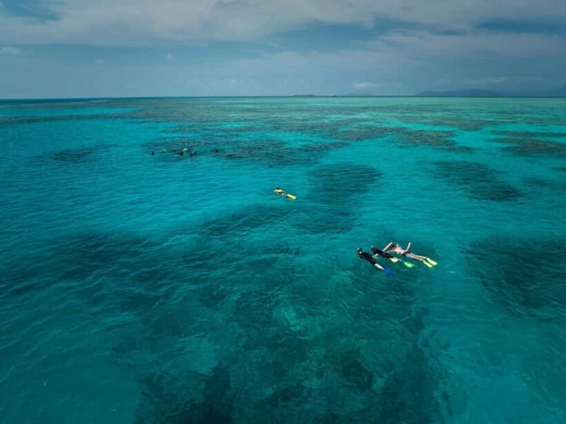 From Cairns: Great Barrier Reef Half-Day Snorkeling Tour - FAQs