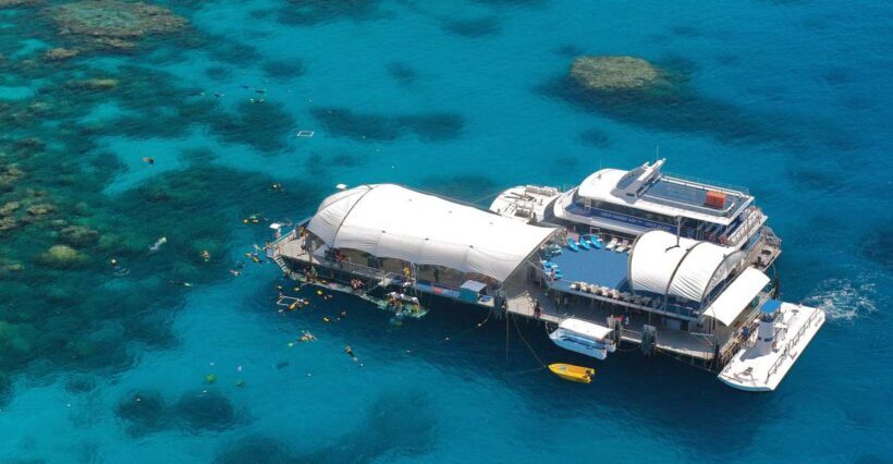 From Cairns: Great Barrier Reef Pontoon Experience - Introduction: The Allure of the Great Barrier Reef from Cairns