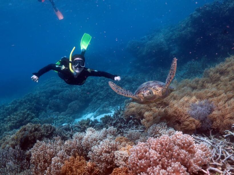 From Cairns: Great Barrier Reef Pontoon Experience - The Sum Up: The Best Choice for a Balanced Reef Day