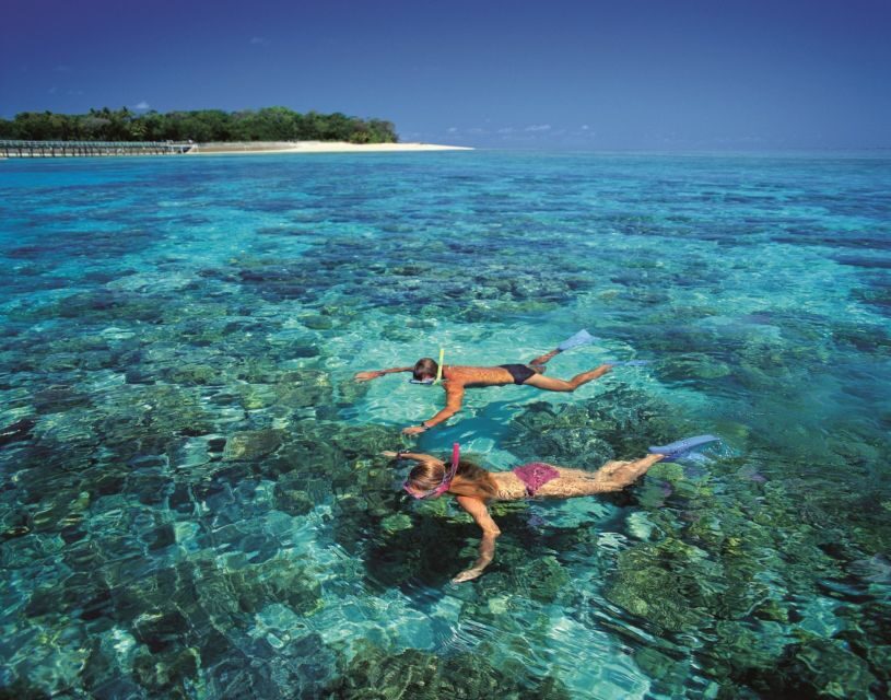 From Cairns: Green Island Half-Day Morning Cruise - Key Points