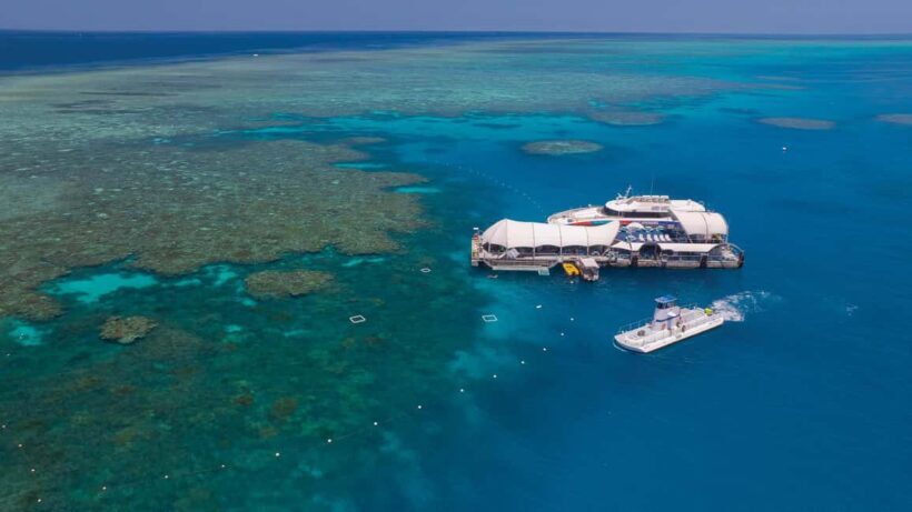 From Cairns: Green Island + Moore Reef Pontoon Combo - The Value Proposition