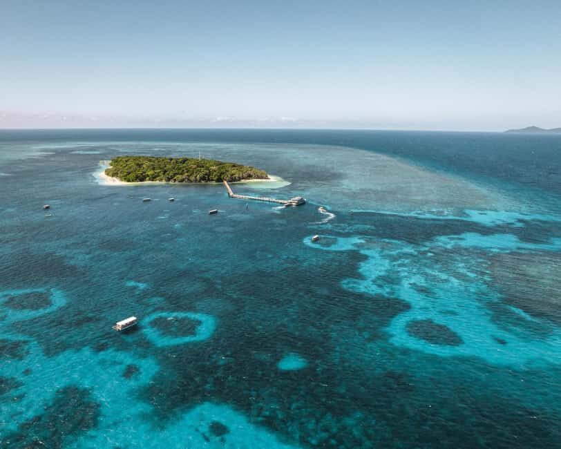 From Cairns: Half-Day Afternoon Cruise to Green Island - Key Points