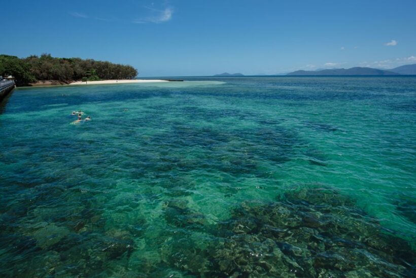 From Cairns: Half-Day Afternoon Cruise to Green Island - Green Island: The Highlight of the Trip