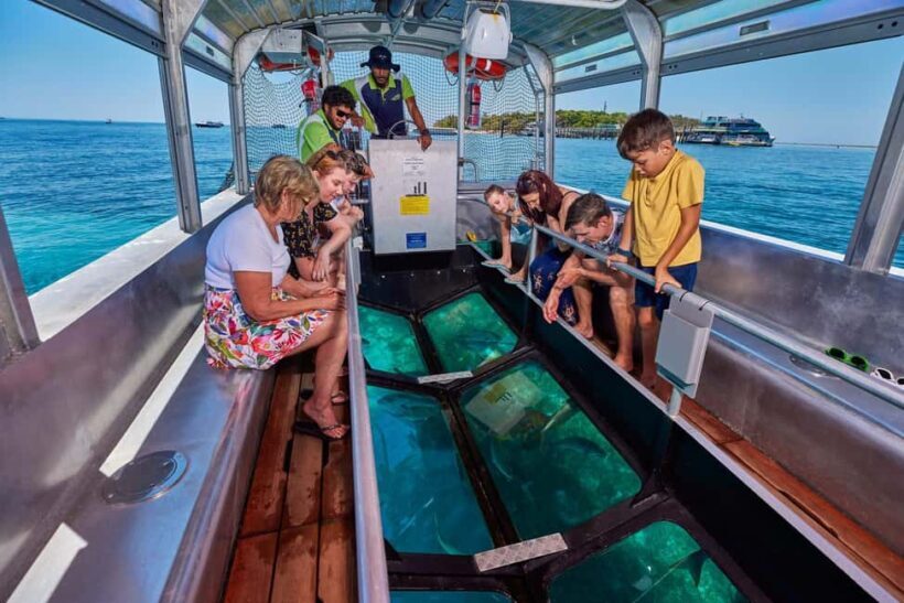 From Cairns: Half-Day Afternoon Cruise to Green Island - On the Island: Relaxation and Authenticity