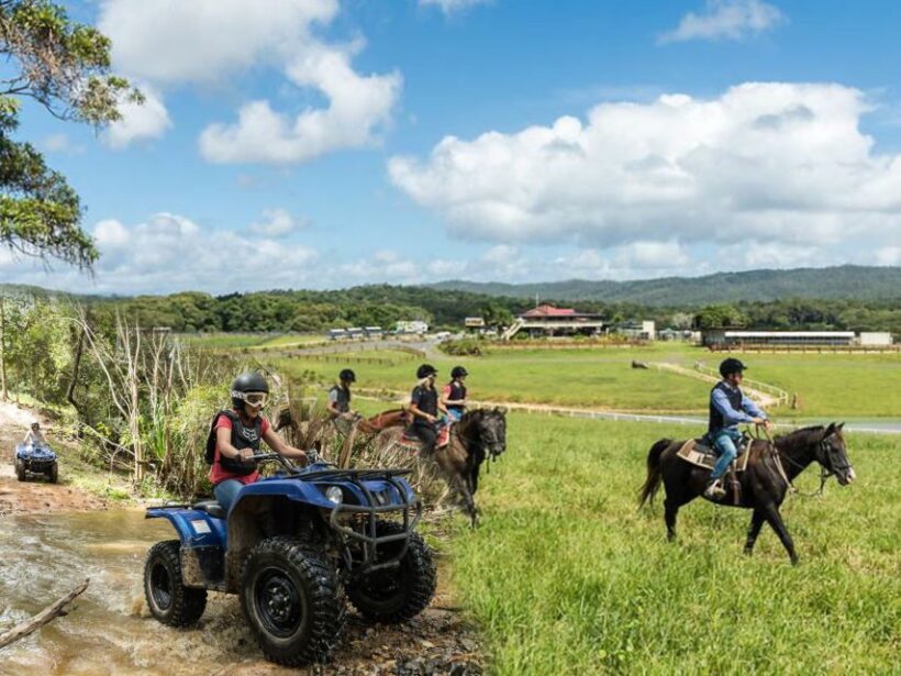 From Cairns: Kuranda Day Trip with Petting Zoo and Quad Ride - Who Should Consider This Tour?