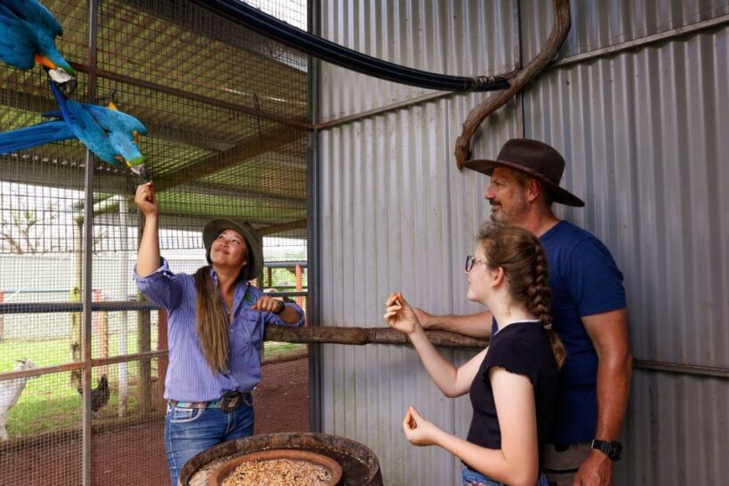 From Cairns: Kuranda Day Trip with Petting Zoo and Quad Ride - FAQ