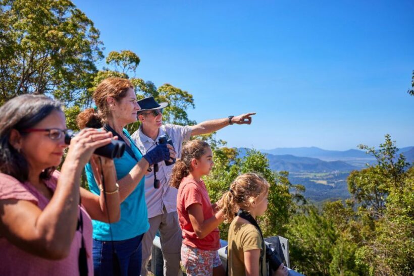 From Cairns: Rainforest & Nocturnal Wildlife Tour - Key Points