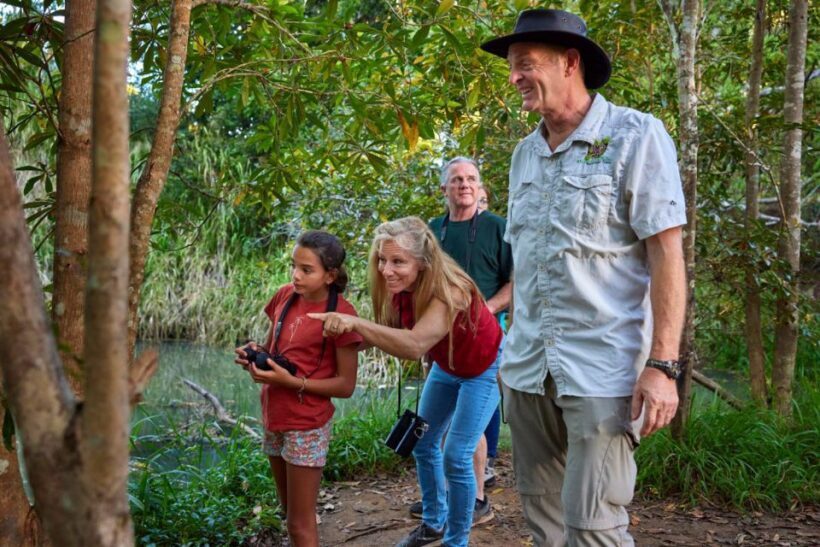 From Cairns: Rainforest & Nocturnal Wildlife Tour - Who Should Consider This Tour?