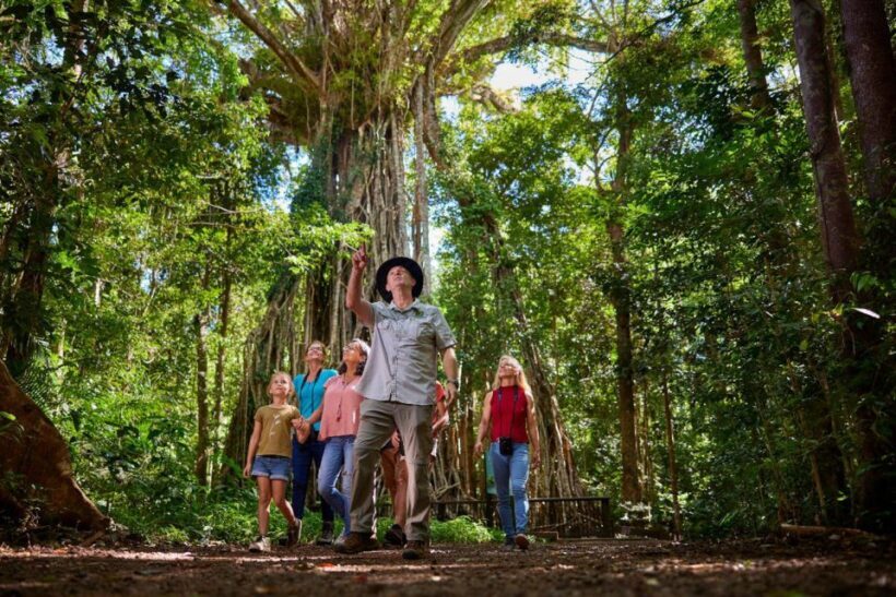From Cairns: Rainforest & Nocturnal Wildlife Tour - Final Thoughts