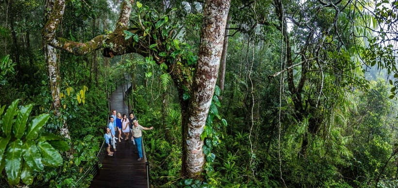 From Cairns: Self-Guided Kuranda Trip with Train and Skyrail - The Sum Up