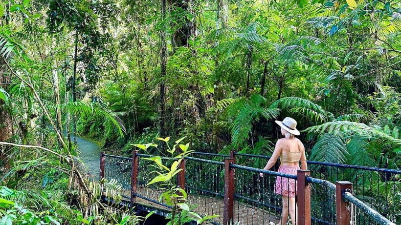 From Cairns: Waterfall Tour with Lunch - A Deep Dive into the Itinerary