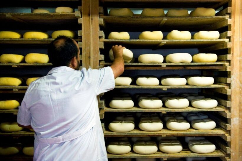 From Cajamarca: Porcon Farm - The Sum Up