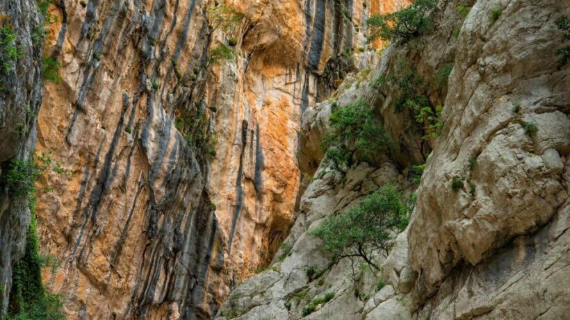 From Cala Gonone: Gorropu hiking with lunch - Why This Tour Works