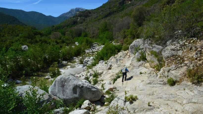 From Cala Gonone: Gorropu hiking with lunch - Final Words
