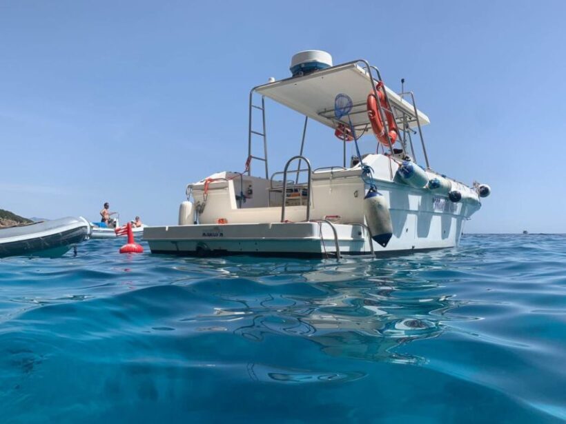 From Cala Gonone: Gulf of Orosei Speedboat Trip and Aperitif - Key Points