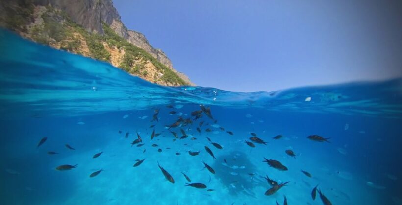 From Cala Gonone: Gulf of Orosei Speedboat Trip and Aperitif - Starting Out from Cala Gonone: The Launch Point