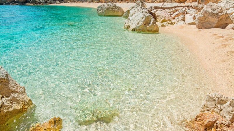 From Cala Gonone: Motorboat Trip in the Gulf of Orosei - The Beauty of the Gulf of Orosei