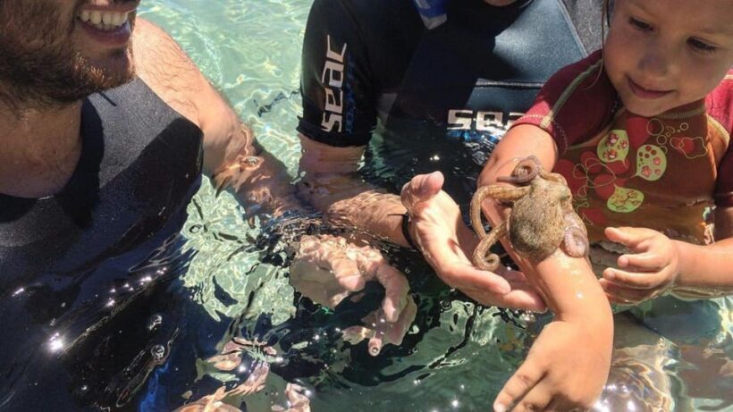 From Cala Gonone: snorkeling in the Orosei Gulf - Why This Tour Offers Great Value