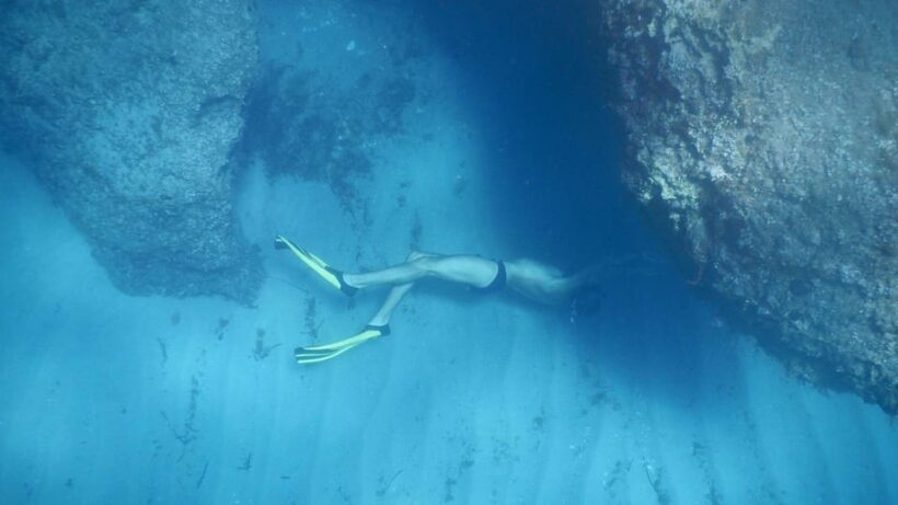 From Cala Gonone: snorkeling in the Orosei Gulf - The Sum Up: Who Will Love This Tour