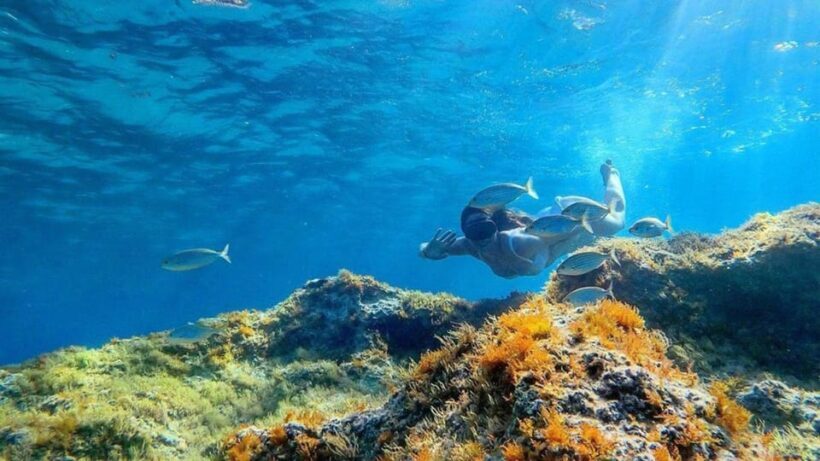 From Cala Gonone: snorkeling in the Orosei Gulf - FAQ