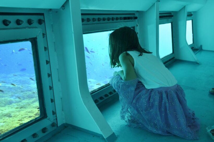 From Cala Millor: East Coast Glass-Bottom Boat Trip - Key Points