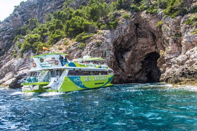 From Cala Millor: East Coast Glass-Bottom Boat Trip - An In-Depth Look at the Experience