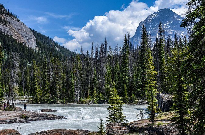 From Calgary Banff and Yoho National Park and Lake Louise Tour - Who Is This Tour Best For?