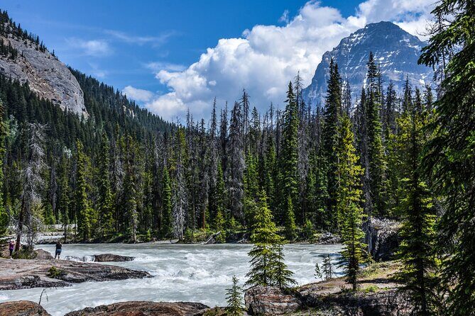 From Calgary Banff and Yoho National Park and Lake Louise Tour - Final Thoughts
