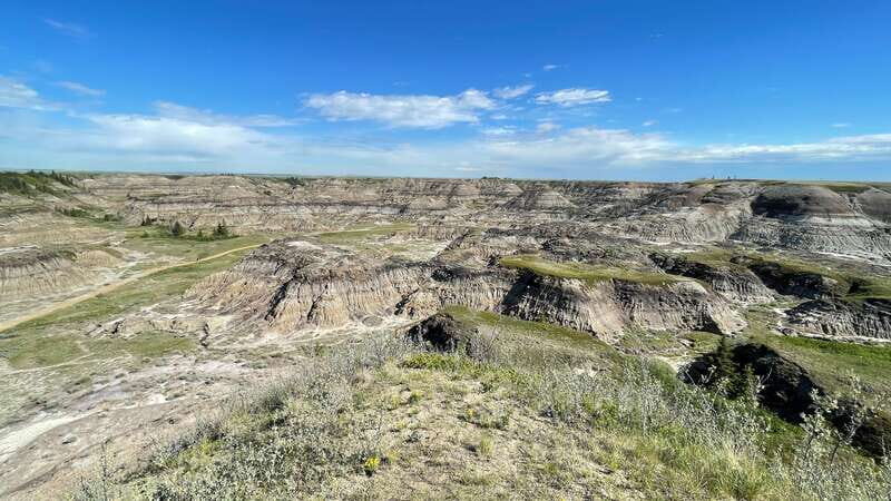 From Calgary: Canadian Badlands Private Geological Tour - The Sum Up: Who Will Love This Tour?