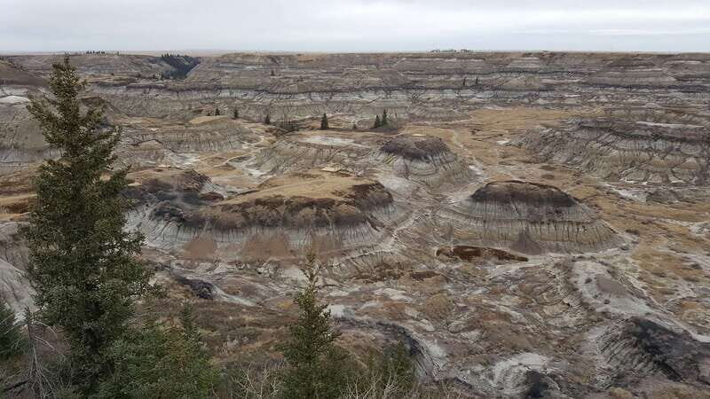 From Calgary: Canadian Badlands Private Geological Tour - FAQ