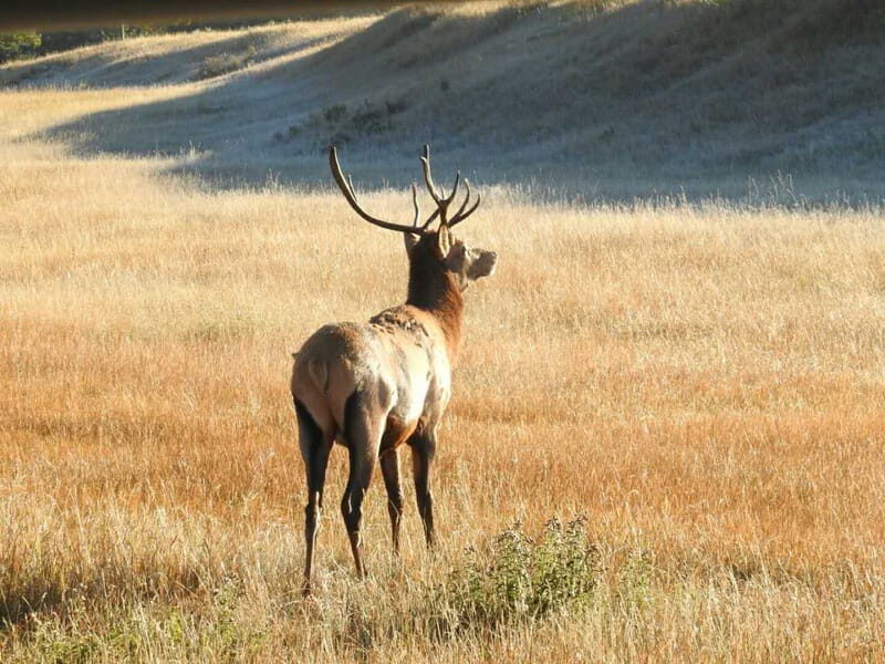 From Calgary: Deep 1 Day Tour in Banff - Exploring the Itinerary: What to Expect