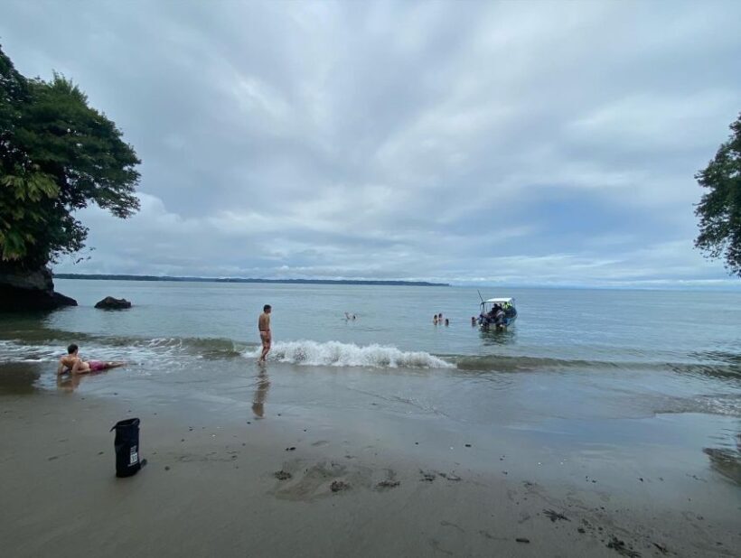 From Cali: Whale Watching Day Trip in Buenaventura - Is This Tour Worth the Investment?