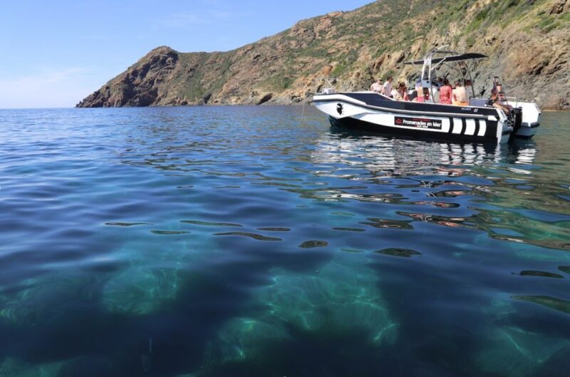 From Calvi: 2-Hour Sunset Cruise to Revellata Peninsula - FAQs
