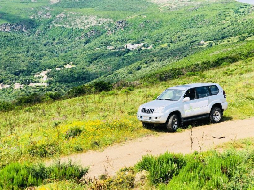 From Calvi: 4x4 Day Tour Mountain & Agriates' Saleccia Beach - Who Will Love This Tour?