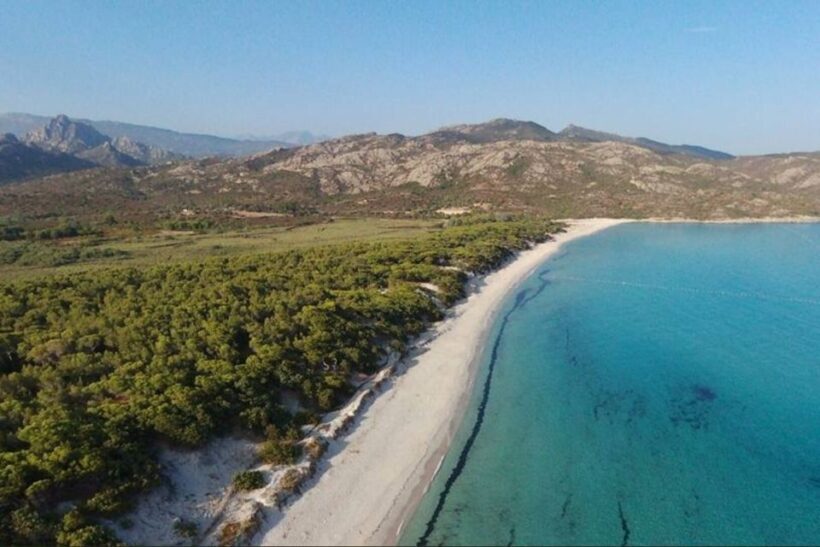 From Calvi: 4x4 Day Tour Mountain & Agriates' Saleccia Beach - Key Points