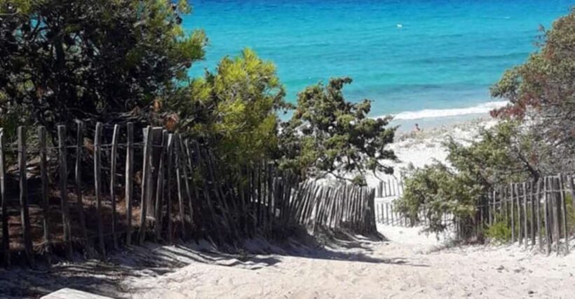 From Calvi: 4x4 Day Tour Mountain & Agriates' Saleccia Beach - Price and Value