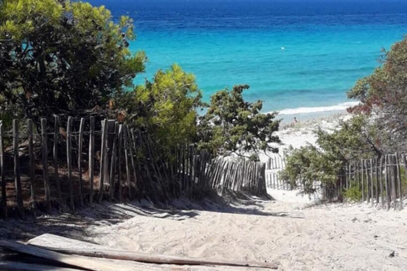 From Calvi: 4x4 Day Tour Mountain & Agriates' Saleccia Beach - FAQs