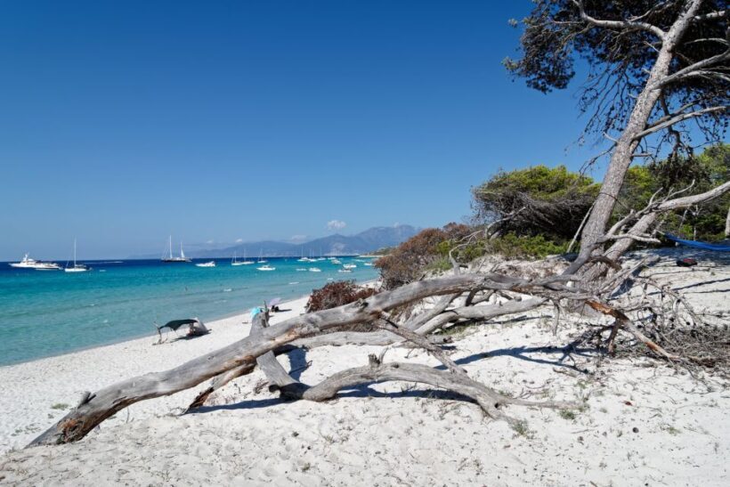 From Calvi: Agriate Guided Jeep Tour to Lotu and Saleccia - Exploring the Agriate Guided Jeep Tour from Calvi: An Authentic Corsican Adventure