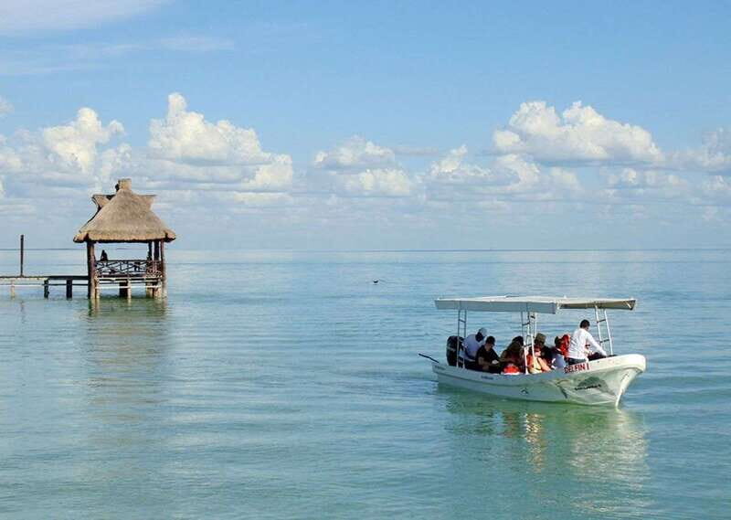 From Campeche: Isla Aguada Dolphin Encounter Tour - Key Points