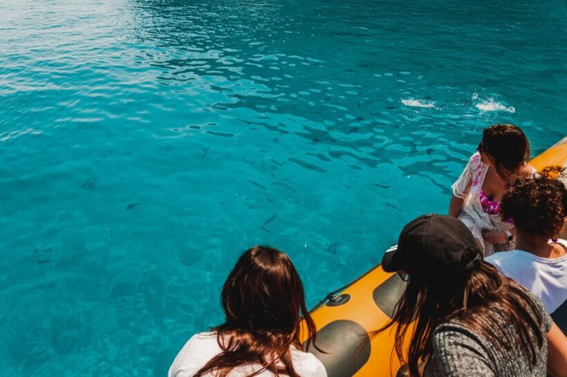 From Can Picafort: Dolphin Watching and Cave Boat Trip - Diving Into the Experience: What You Can Expect