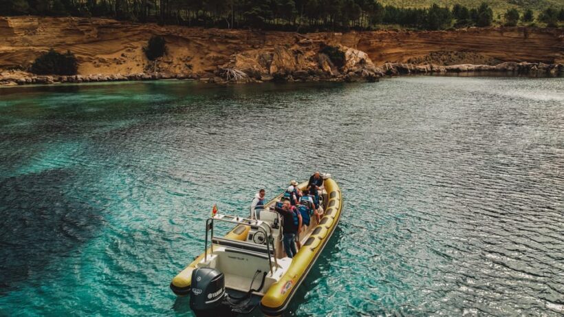 From Can Picafort: Dolphin Watching and Cave Boat Trip - Practical Tips for Travelers