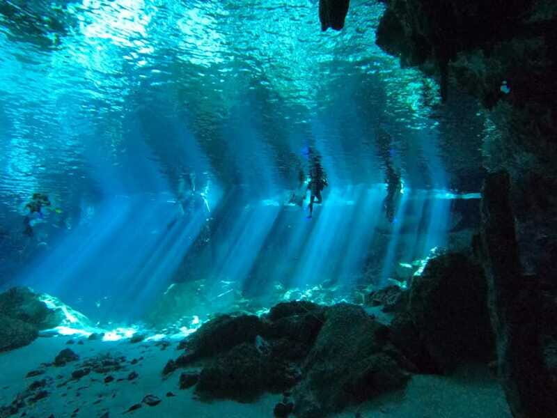 From Cancun: 2 Dives in Cenote Dos Ojos for Certified Divers - The Sum Up