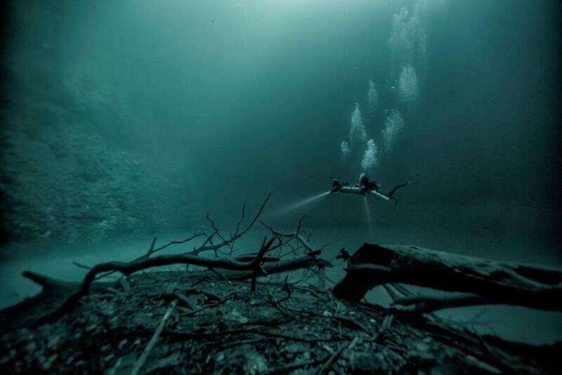 From Cancun: Angelita and Taj Ma Ha Cenote Diving Experience - A Close Look at the Tour